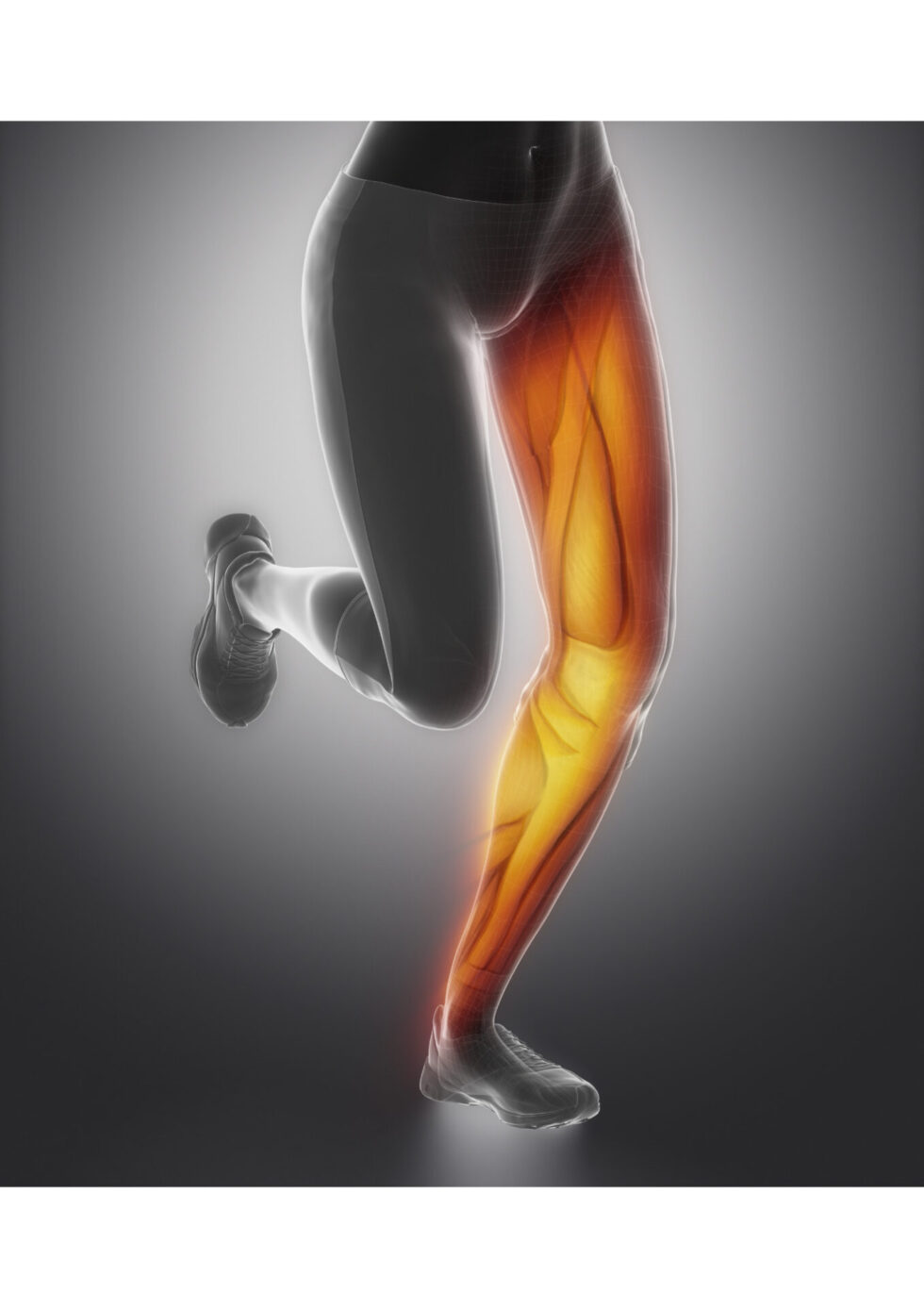 Biomechanische functies van beenspieren - Beste oefeningen thuis